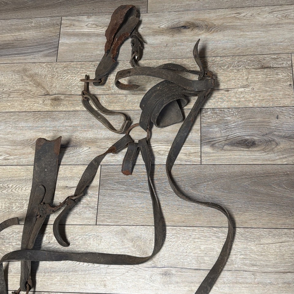 Vintage Horse Tack Lot Leather Reins Blinders Girth Cinch Strap ...