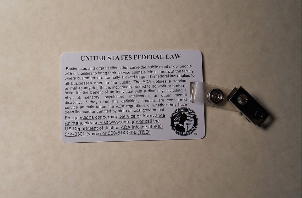 HOLOGRAPHIC PTSD SERVICE DOG ID CARD ASSISTANCE ANIMAL ID BADGE ADA TAG ...