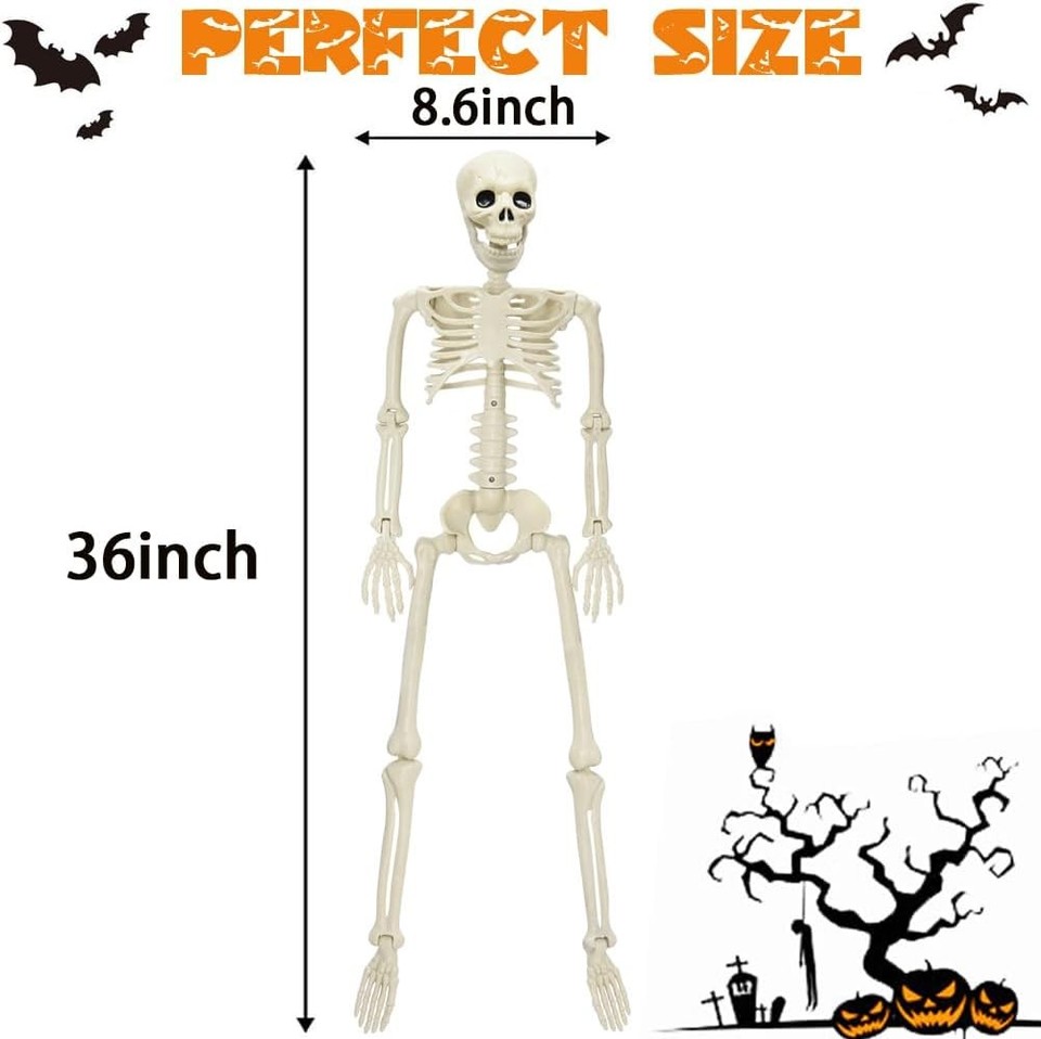 6Ft Skeleton Halloween Decor,Realistic Full Body Movable Posable Joints ...