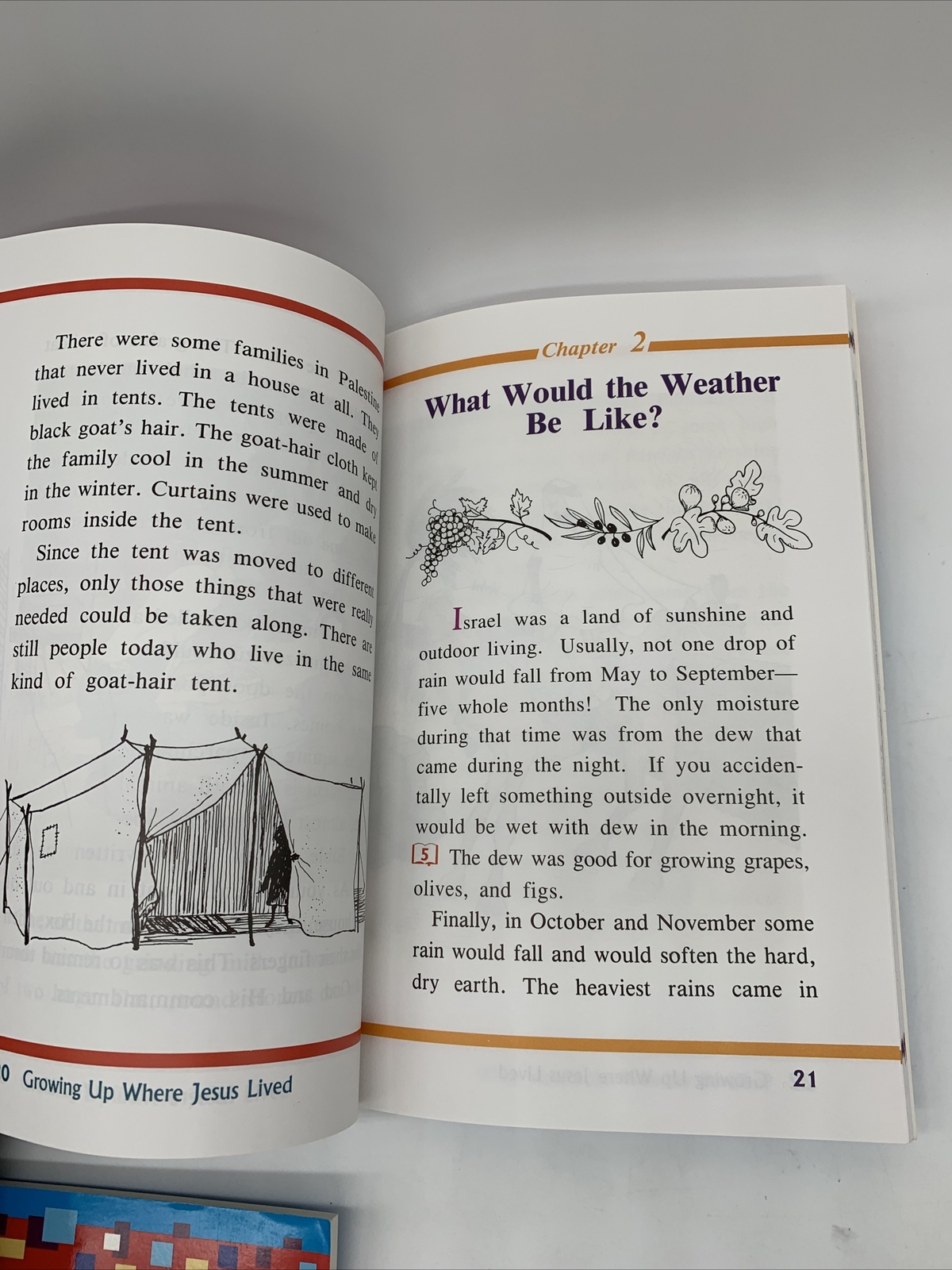 Abeka Elementary Reading, Set Of 5- 1st & 2nd Grade- Primary Bible ...