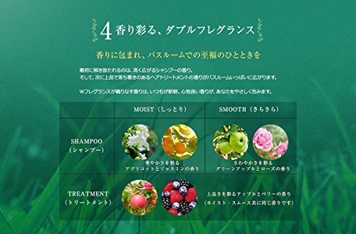 Botanist Botanical Shampoo Smooth 490 mL Hair Care from Japan ...