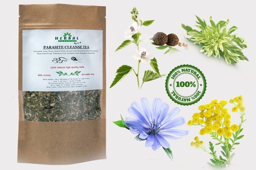 Parasite Tea Herbal Detox Cleanse Colon Candida Tea Wormwood Tansy ...
