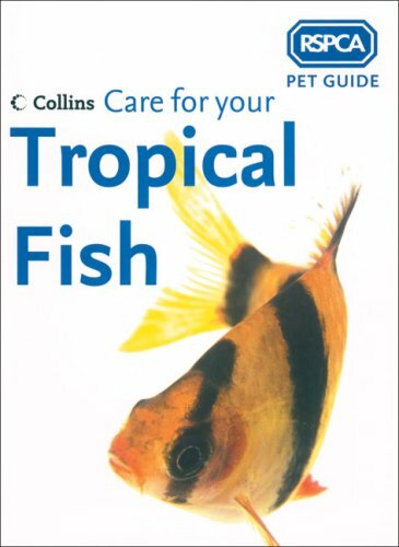 RSPCA Pet Guide – Care for your Tropical Fish by RSPCA Paperback Book ...