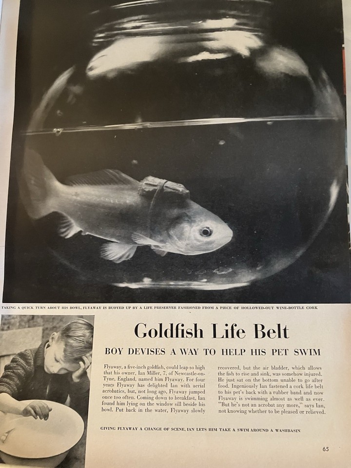 Original March 7 1955 Life Magazine Cover Only ft. Rangoon Buddha | eBay