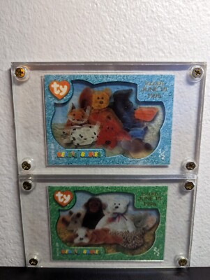 TY Beanie Babies Group 2 Clear Card 2 of 2 Issued June 15, 1996 From ...