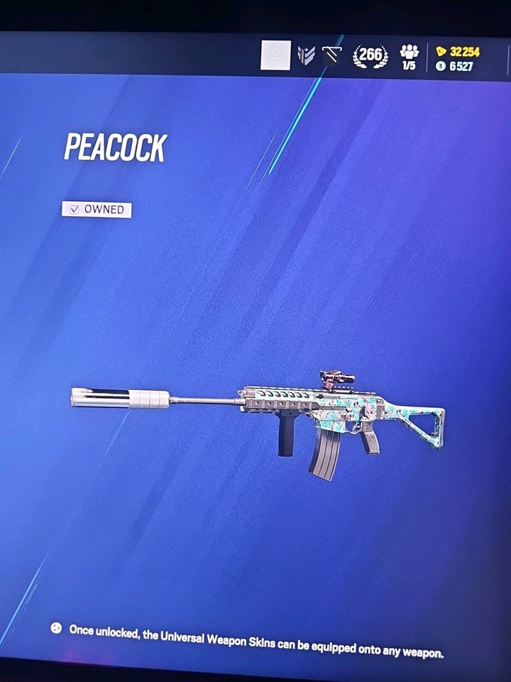 Rainbow Six Siege YEAR 1 Glaciers account with YEAR 1 SKIN | eBay