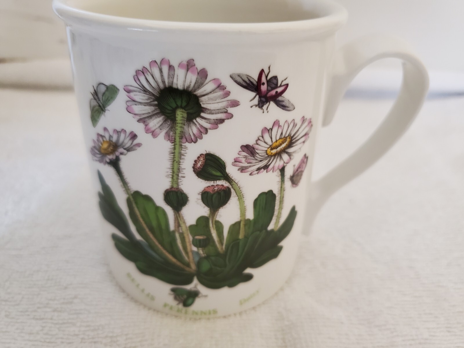 Set Of 4 Portmeirion Botanic Garden Coffee Mug,Tea Cup 10oz | eBay