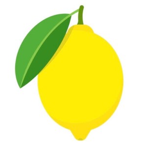 Lemon Clothing | eBay Stores