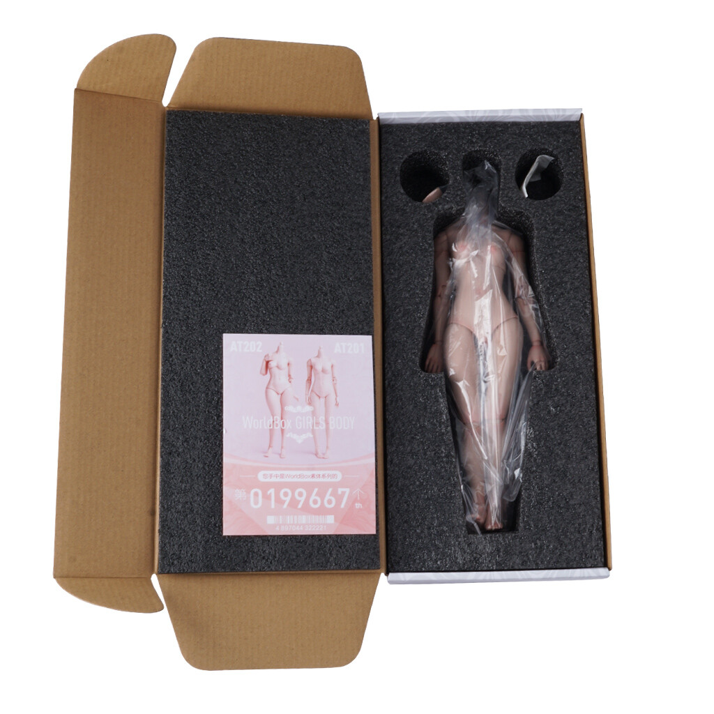Worldbox At201 1 6 Girls Body For 12 Female Action Figure Pale