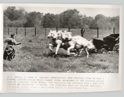 3 WHITE STALLIONS Gone WILD at CYRUS EATON Farm AKRON OH 1963 Press ...