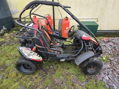Quadzilla Wolf XL buggy - Off Road Buggy - Quad | eBay UK