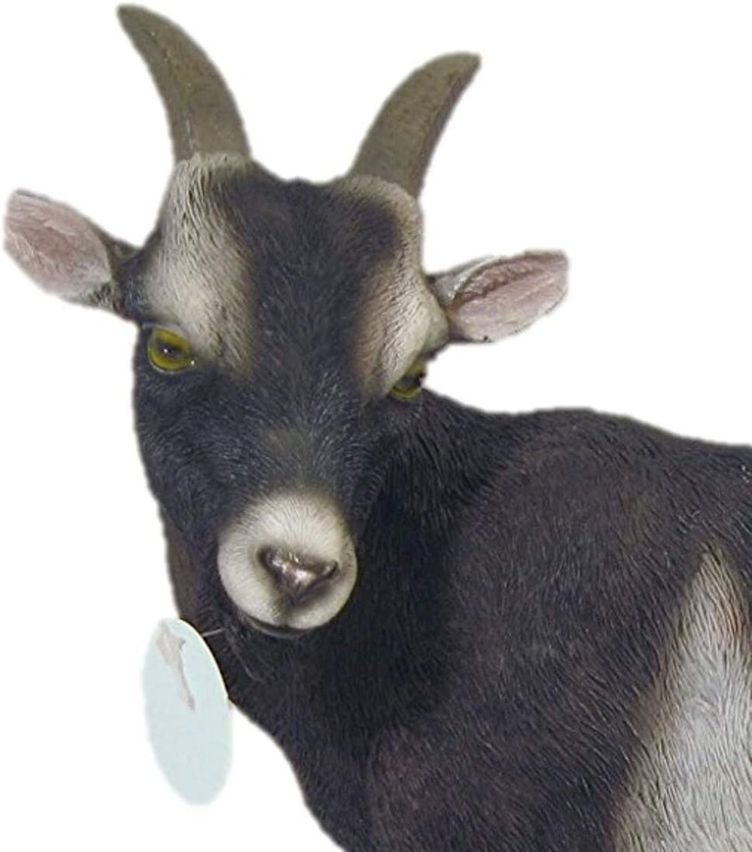 Vivid Arts - Farm Life Collection Goat - Home/Garden Decor (XRL-GOAT-D ...