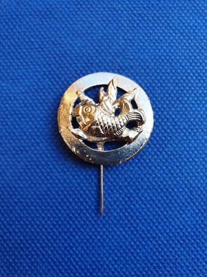 Pin badge anstecknadel fish fisherman fishing fischer | eBay