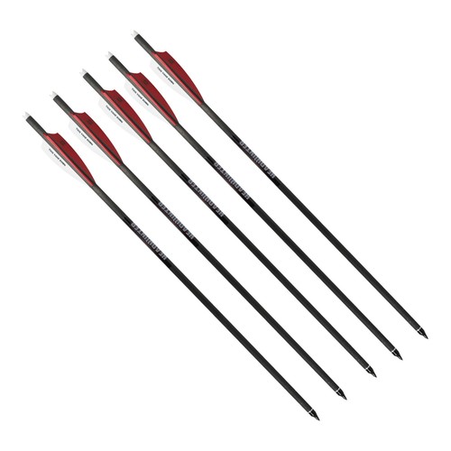 NEW HeadHunter Outdoors Carbon Crossbow 20-Inch Arrows with Field ...