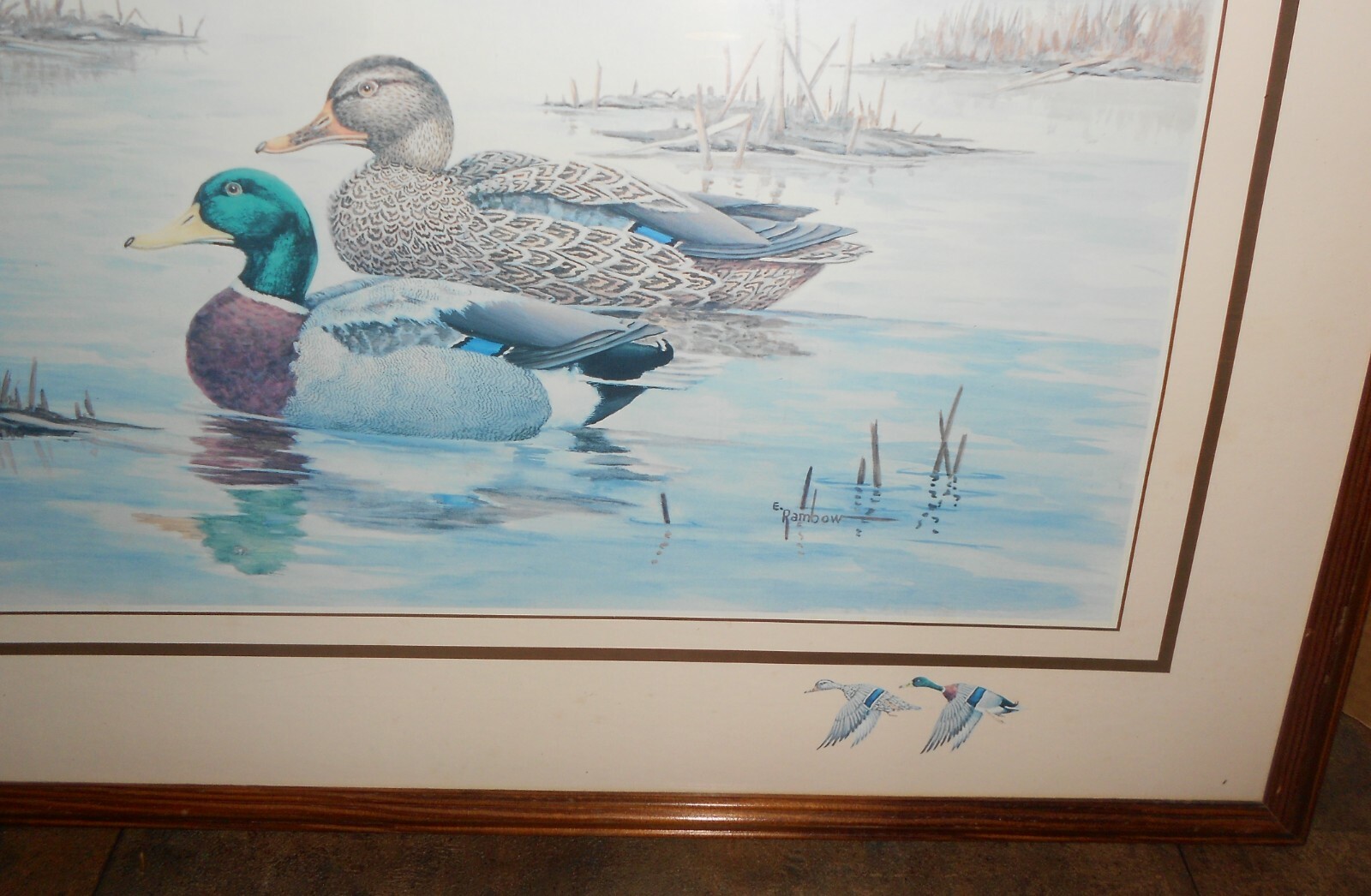 Framed Print "Ducks" by E Rambow | eBay
