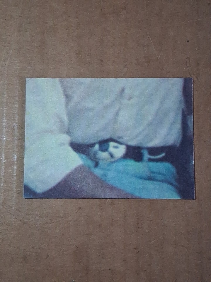 The Dukes of Hazzard 1981 Topps Trading Cards (lot of 5) General Lee ...