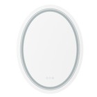Oval LED Illuminated Bathroom Mirror Defogging LED Dimmable Wall ...