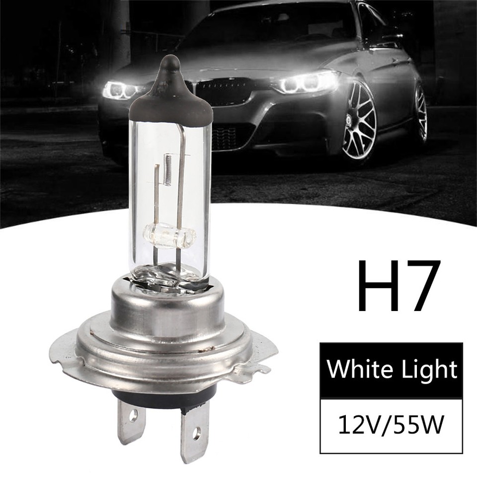 10 PACK H7 Bulbs 477 499 12v 55W PX26d Car headlight Halogen Bulb New ...