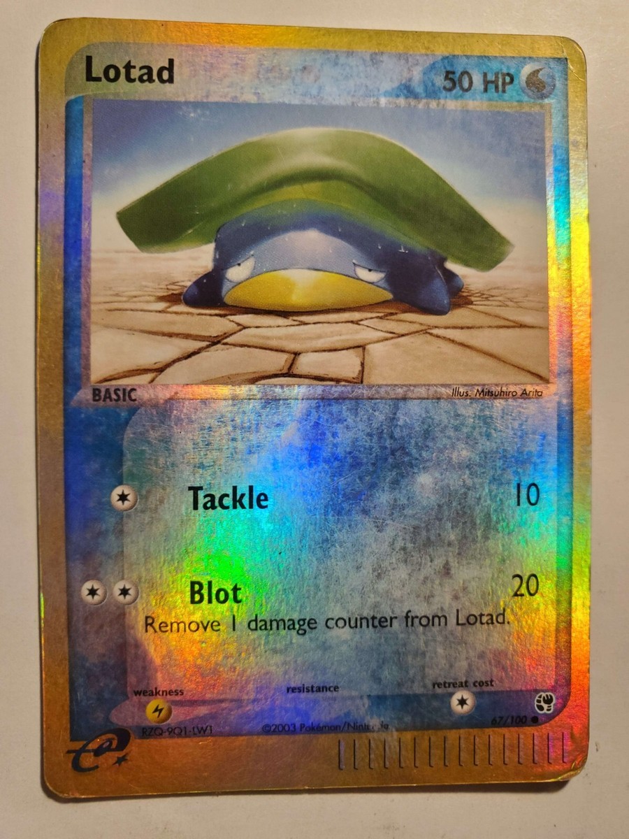 Cartao Pokemon Lotad Preços Baixos Em Jogos De Cartas Colecionáveis