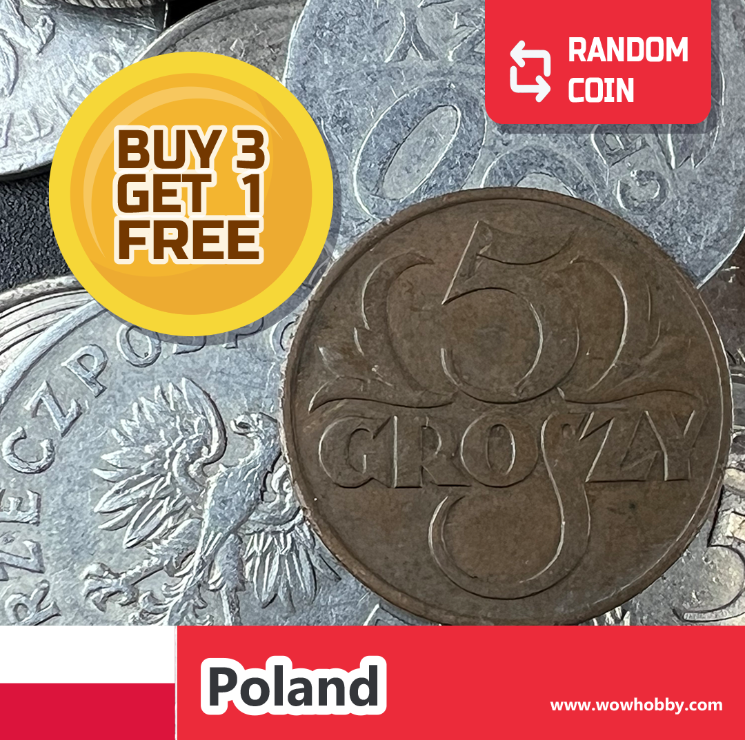 Poland Coin | 1 Random Collectible Old Polish Coin for Coin Collecting ...