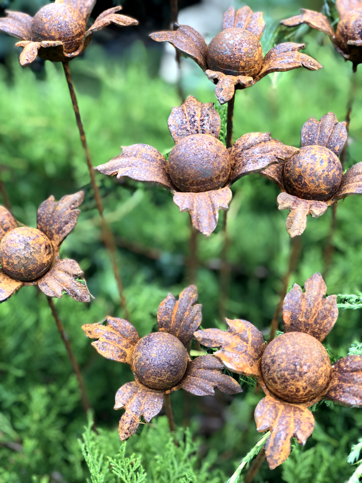 Rusty flowers set of 10, 10 Rusty flowers garden stakes, Metal garden ...