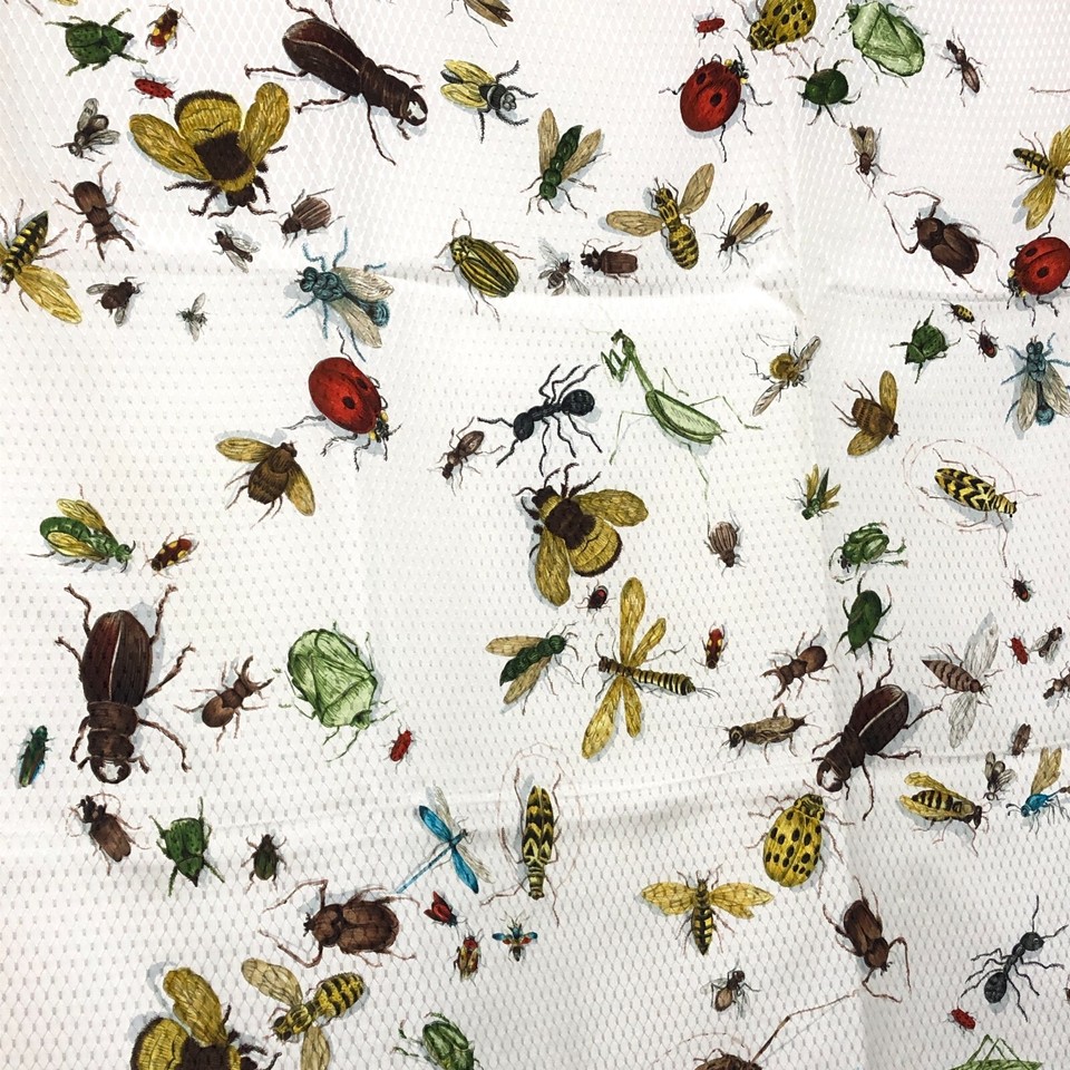 Rare!! HERMES Silk Scarf Les Insectes Bug Insect France 90 White x ...