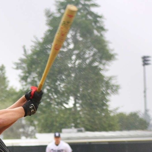 COMBAT MFG Rodeo BBCOR Bat SPEC A1 - Multiple Sizes 34" - 31oz New ...