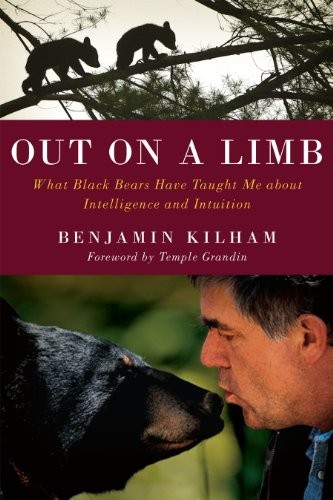 OUT ON A LIMB: WHAT BLACK BEARS HAVE TAUGHT ME ABOUT By Benjamin Kilham ...