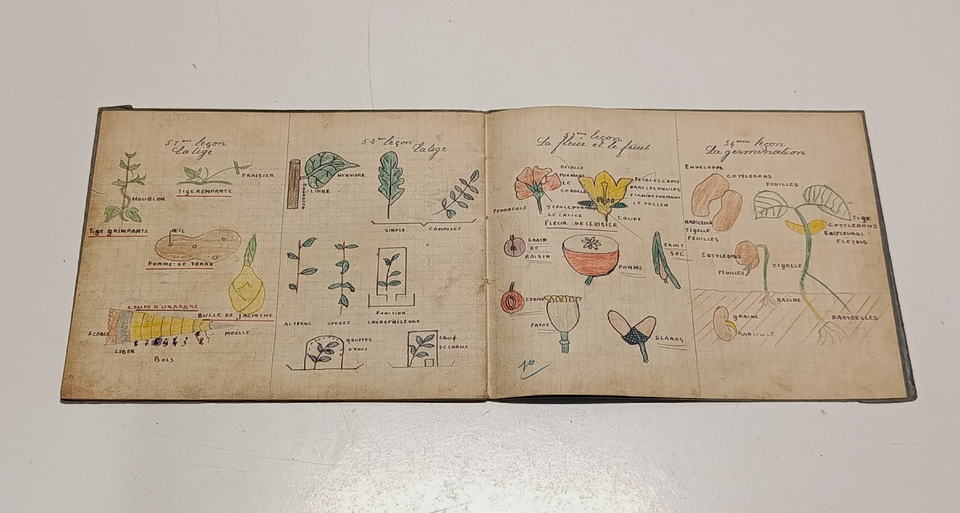 French 1930s Science Notebook | Handwritten School Notes | Vintage ...