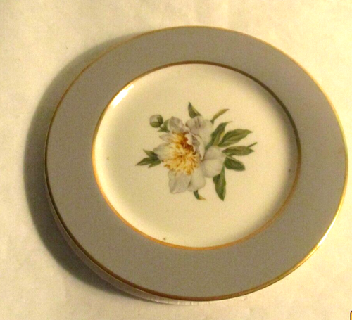 6 PRINCESS CHINA USA GOLDEN PEONY TRU-TONE 6 1/8 " BREAD PLATES GOLD ...