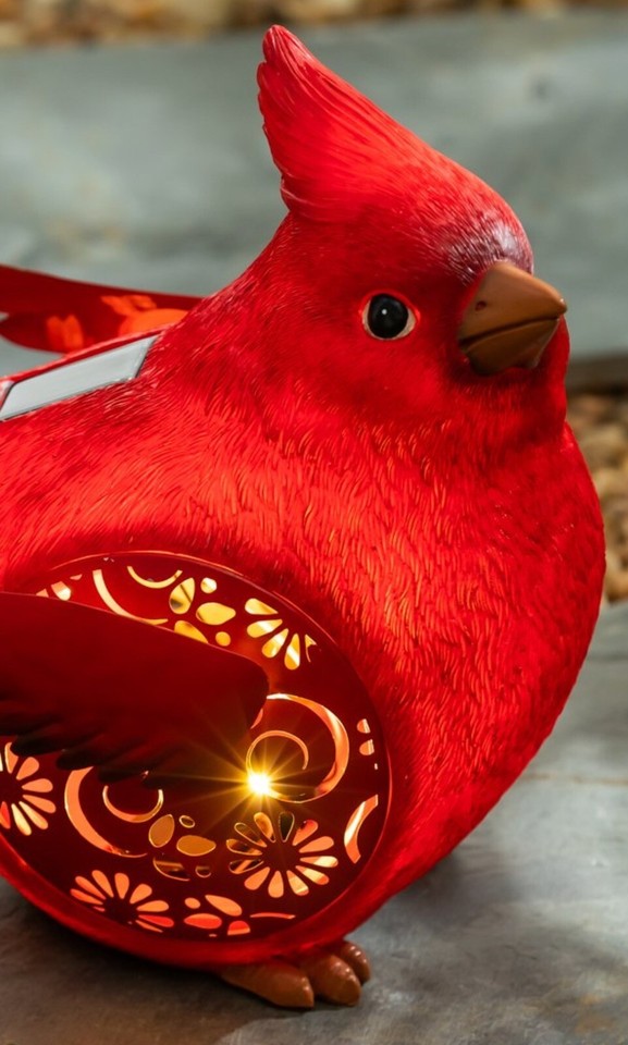 Evergreen Cardinal Engraved Powered Lighted Decor Indoor/Outdoor 9” X 8 ...