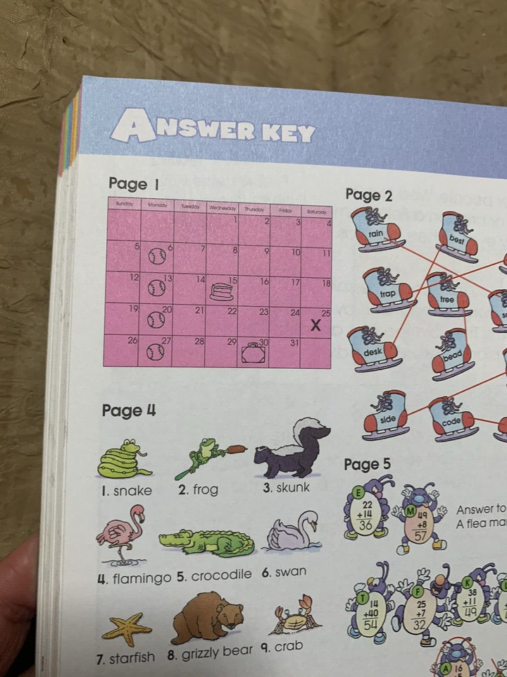 Big Second Grade Workbook - Paperback - School Zone Ages 7-8 | eBay