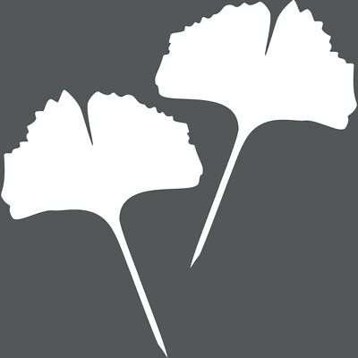 1 Pair 2 Foliage 30cm White Ginkgo Sheets Sticker Tattoo Gingko ...