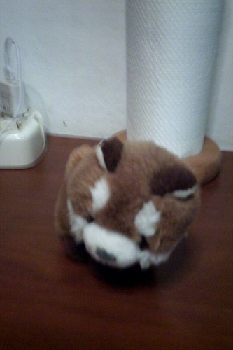 peluche trudi gatto procione   h.cm 14