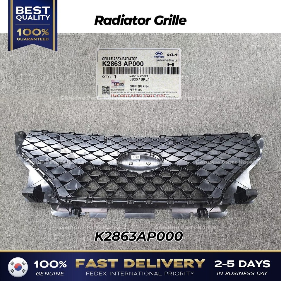 ⭐Genuine⭐ Radiator Grille K2863AP000 for Hyundai Venue | eBay