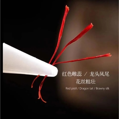 0.5g Herb Saffron Crocus Stigma Croci Full Red Zang Hong Hua | eBay