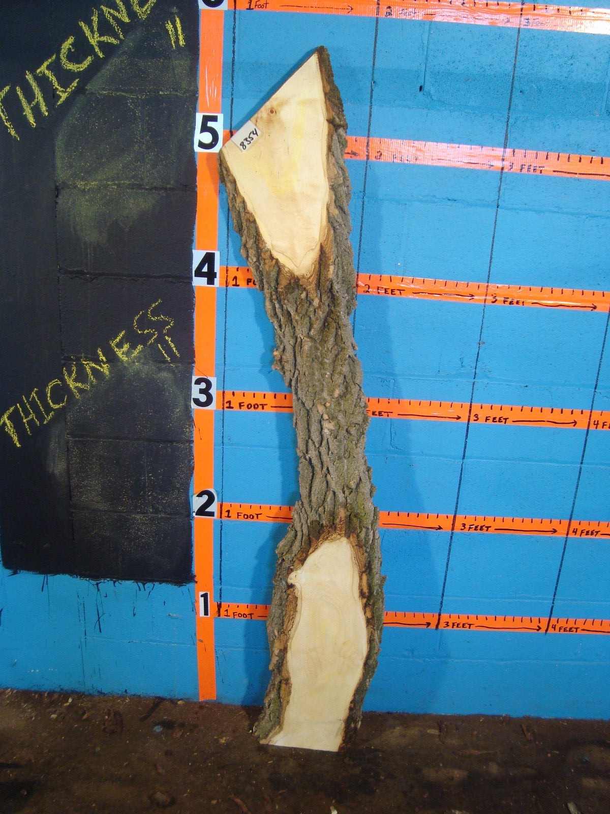 # 8354 flaming red box elder Live Edge Slab wood L 61" W 8 1/4" T 1 13/ ...