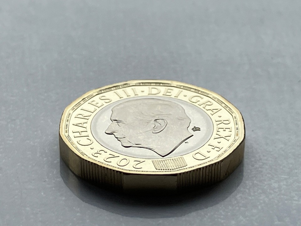 2023 PROOF 1 ONE POUND BEES COIN SPECIAL PRIVY IN HAND SOLD OUT ...