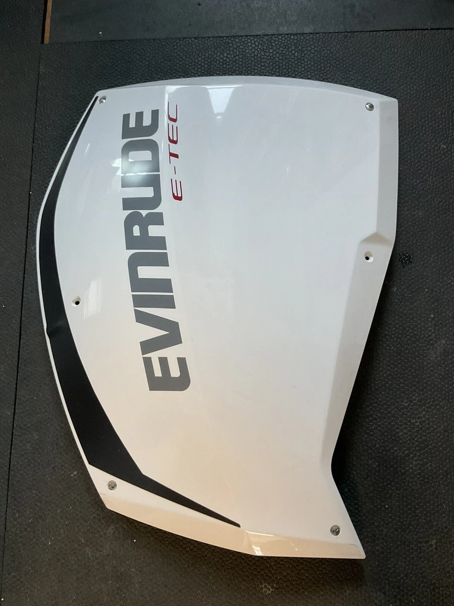 Evinrude Etec G2