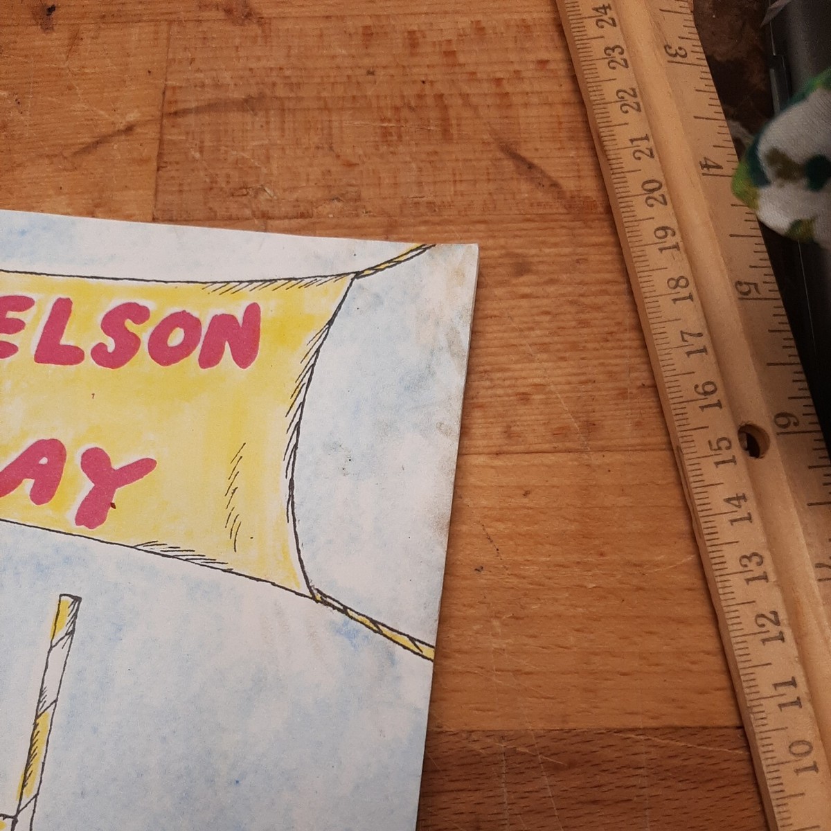 Miss Nelson Has A Field Day Activities