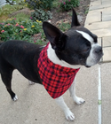 Dog Bandana, Tie On, Christmas, Red, Black, Tarleton Plaid, M, L | eBay