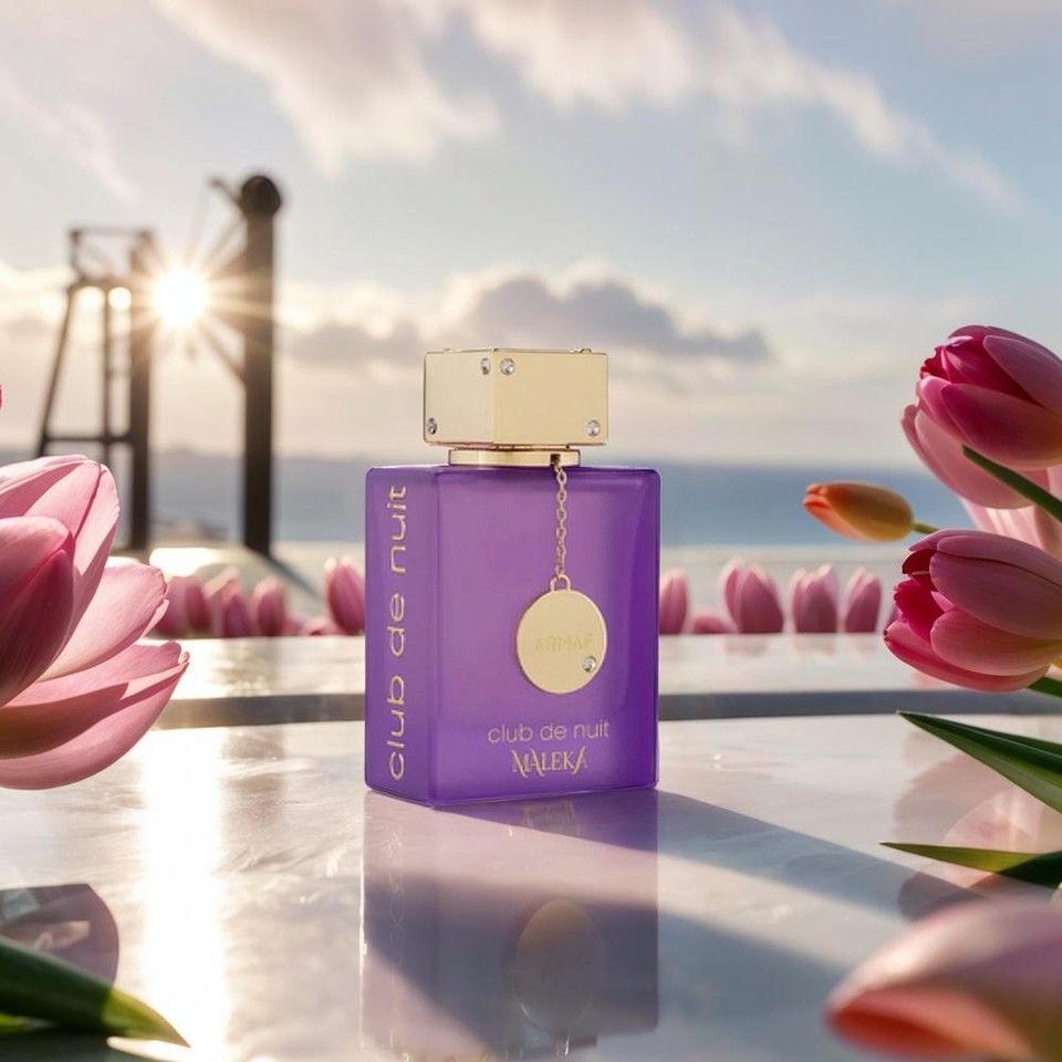 CLUB DE NUIT MALEKA EDP 100ML/3.4OZ LADIES NEW ARMAF SEALED AMAZING ...