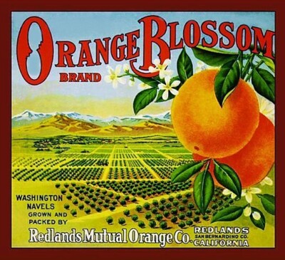 Redlands CA Orange Blossom Citrus Fruit Crate Label Art Print | eBay