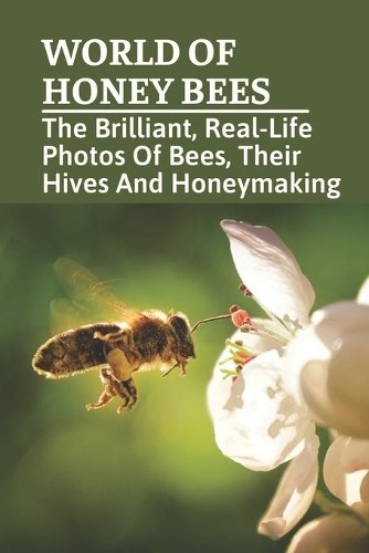 Domenic Munsinger World Of Honey Bees (Taschenbuch) | eBay.de