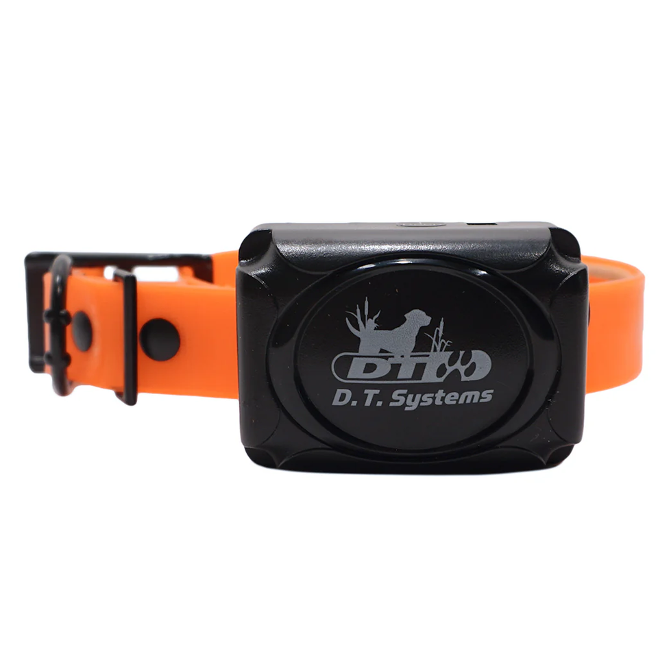 DT Systems BTB-800 Single Beep Baritone Sound Booster Dog Collar Beeper ...