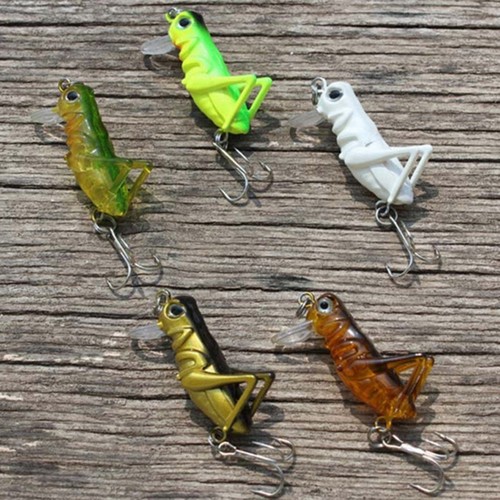 Lure Portable Luminous Plastic Insect Fishing Lure Grasshopper Shape | eBay
