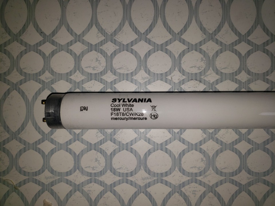 SYLVANIA Fluorescent Light Bulb 18W 28" COOL WHITE F18T8/CW/K28 | eBay