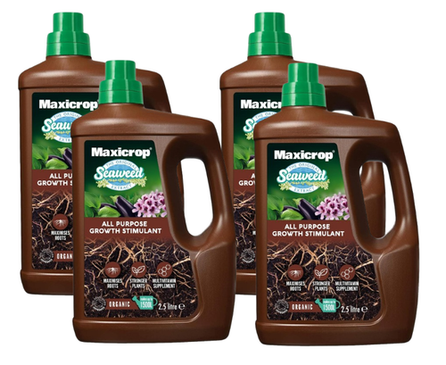 Maxicrop Original Seaweed Extract Organic Plant Growth Stimulant 4 x 2 ...