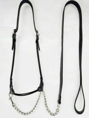 Show Halter With Leather Bling With Silver Fitting horse tack set | eBay