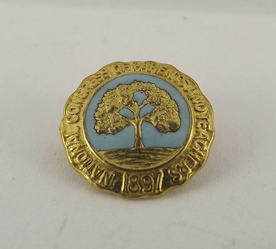 Vintage National Congress Parents Teachers Gold Tone Enameled Pin | eBay